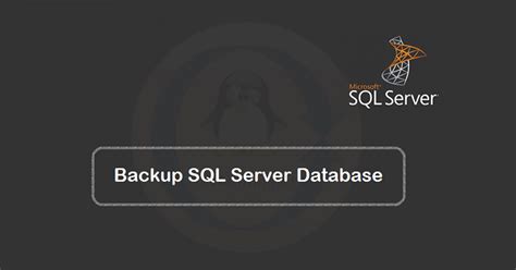 cara mencadangkan database sql server ilinuxgeek