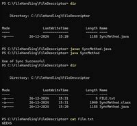 Java Filedescriptor Class Geeksforgeeks