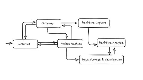 Real Time Streaming Systems For Customized Network Traffic Capture Transforming Network
