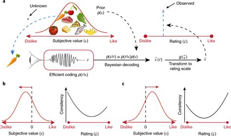 Simplified Schema Of The Value Inference Model A Observers Infer The Download Scientific Simplified Schema Of The Value Inference Model A Observers Infer The Download Scientific