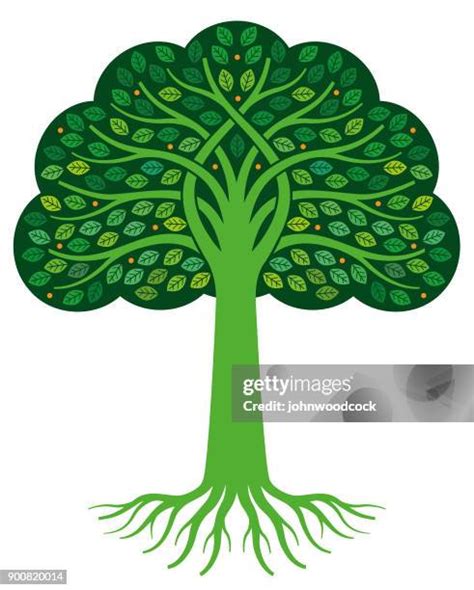 Tree Ring Logo Photos And Premium High Res Pictures Getty Images