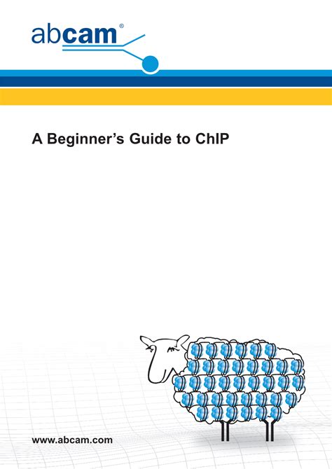 A Beginners Guide To Chip Docslib