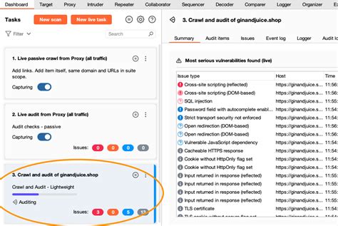 Running Your First Scan With Burp Suite Professional Portswigger