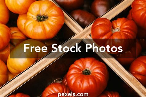 Tomato Texture Photos Download The Best Free Tomato Texture Stock