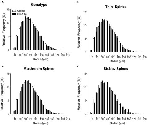 Profound Shifts In The Distribution Of Dendritic Spines On A Neuron Are Download Scientific