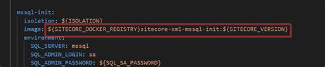 Customizing The Sitecores Mssql Init Image To Override The Default