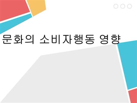 문화의 소비자행동