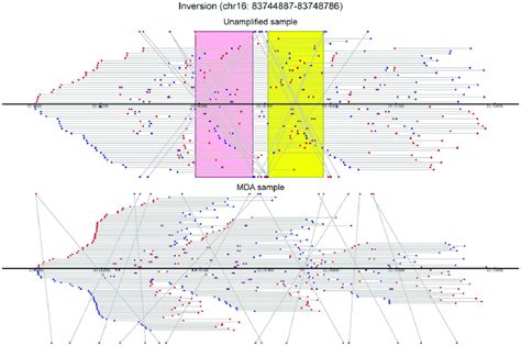 Loss Of Sensitivity In Breakpoint Detection By Multiple Strand