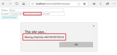Securing Your Cookies HTTPOnly Flag For Cookie Theft Defense CyberOne