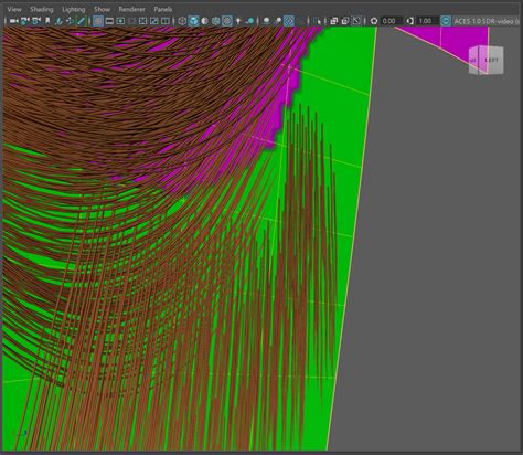 Xgen Weird Behaviour Rmaya