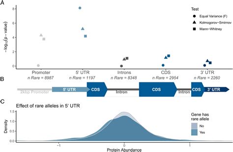 Reading Frames Definition Biology At Anthony Austin Blog
