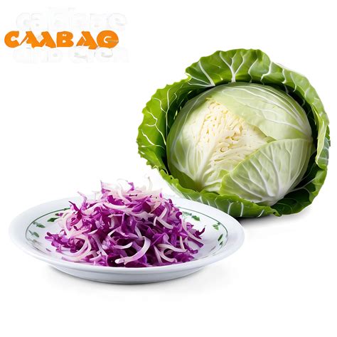 Download Cabbage Side Dish Png Jgq