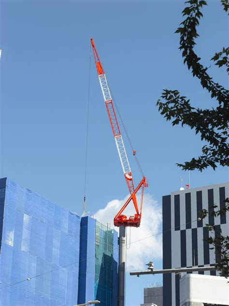 집 밖의 강철과 유리 건물 건설 현장 건축 고층 건물 공업 지대 기술 기업 빌딩 기중기 낮 녹색 공간 녹지 도시 개발 도시 경관 도시 계획
