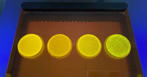 What Is Transformation Efficiency And Why Is It Important The Official Blog Of Edvotek®