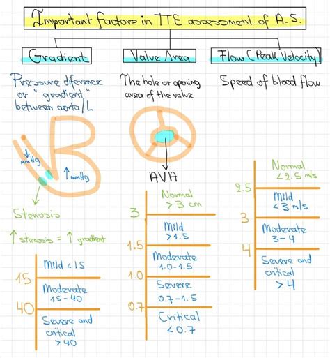 Aortic Stenosis Severity Classification Ecuadoctors