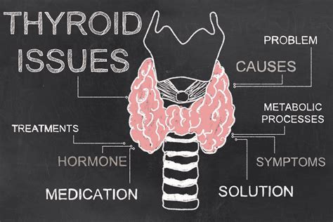 What Is Desiccated Thyroid And Why Is It Important Apt Medical