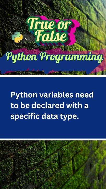 Python Programming Pythonprogramming Pythonforbeginners Pythontutorial Computerscience Quiz