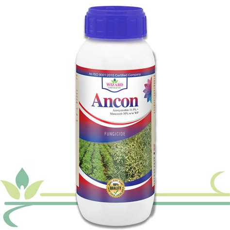 Ancon Bringing Growth Together