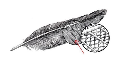 날도록 디자인된 새 Association For Creation Truth