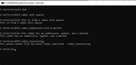 Learning The Powerful Goto Batch Command