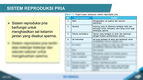 SOLUTION Bab 1 Sistem Reproduksi Manusia Studypool