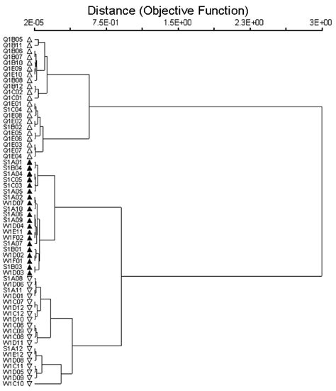 hierarchical cluster analysis dendrogram using elemental composition