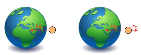 show that the acceleration of an object dropped at the equat quizlet
