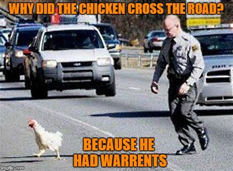 Why Did The Chicken Cross The Road Imgflip