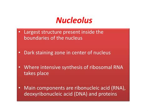 Nucleous Pptx