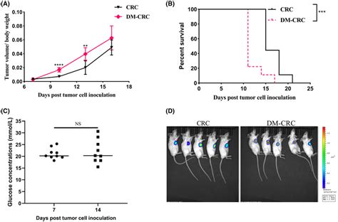 The Preexisting DM Promotes The CRC Progression A The Calculation Download Scientific