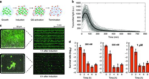 Characterization Of The ISLC Kill Switch Properties In Microfluidics Download Scientific