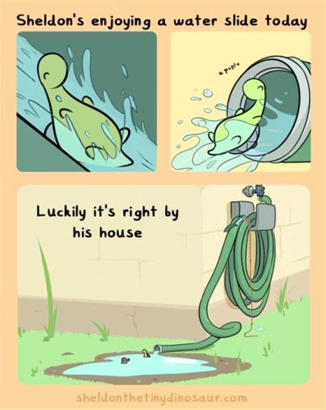 Pin De Stacia Marie En Sheldon The Tiny Dino Loros Divertidos