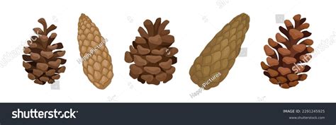 Ragi Blow Over 1 060 Royalty Free Licensable Stock Vectors And Vector