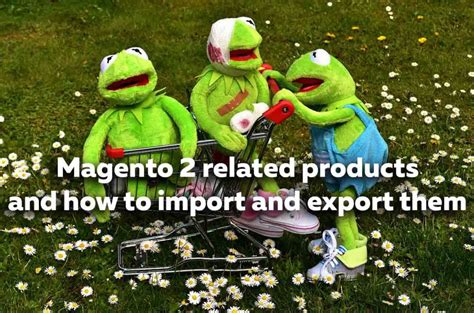magento 2 related products cross sells and upsells firebear