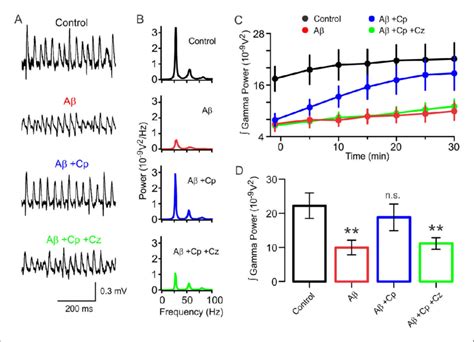 Trpv1 Activation Rescues The Hippocampal Network From Ab Induced Download Scientific Diagram