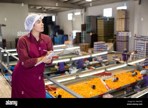 Young Female Supervisor Inspecting Workflow Of Citrus Sorting Workshop