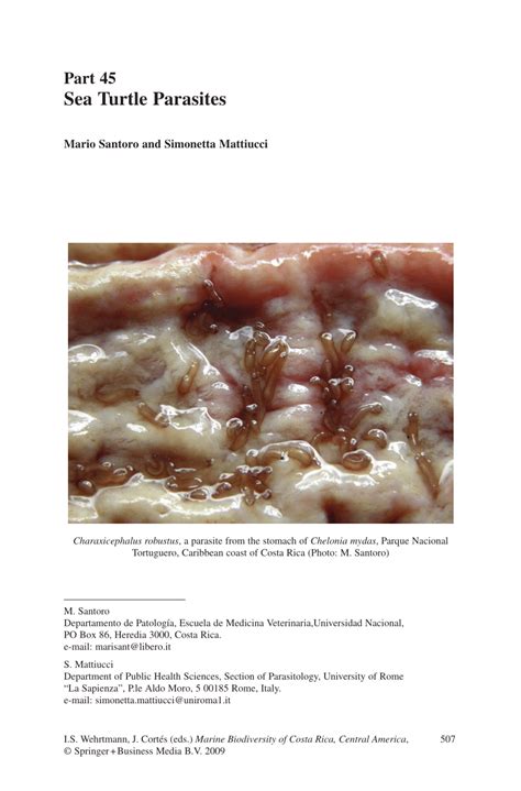 Pdf Sea Turtle Parasites