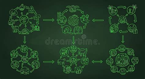 Diagram Illustrating Ecological Cycles And Processes On A Chalkboard