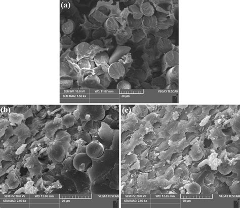 Sem Images With Different Magnifications Of The S 0 A S 1 B And
