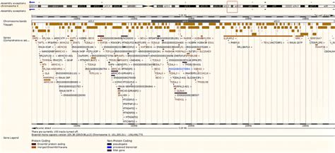 Ensembl Genome Browser Image Showing The Xq221q223 Deletions