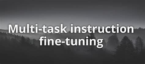 multi task instruction fine tuning for llm models
