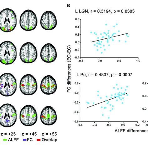 Overlap Maps And Correlation Results A Overlap Of Group Level Fc