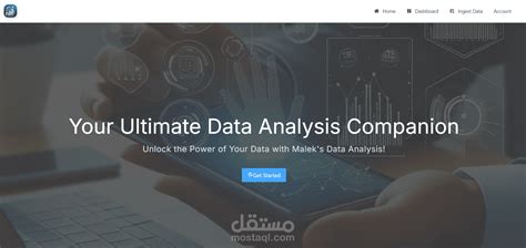 Data Analysis Tool مستقل