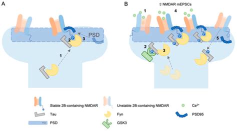 Biomedicines Special Issue News About Structure And Function Of
