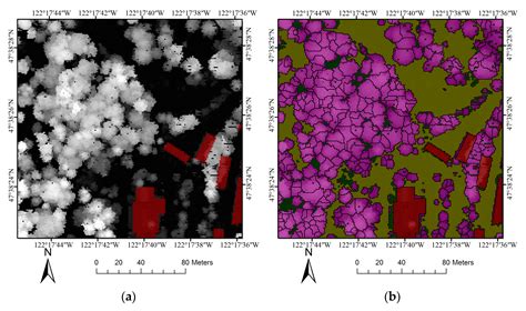 Forests Free Full Text Object Based Tree Species Classification In Urban Ecosystems Using