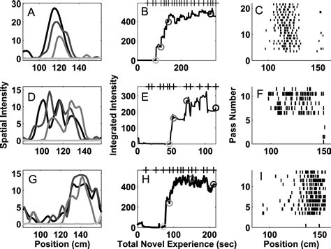 Hippocampal Plasticity Across Multiple Days Of Exposure To Novel Environments Journal Of