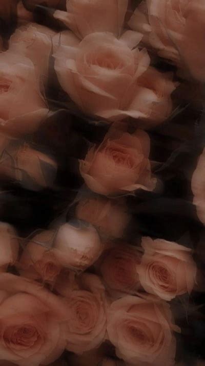 چند تا عکس با وایب کیوت💕،،p1 تستچی