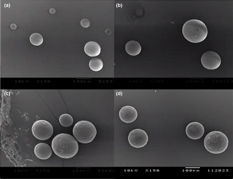 Sem Micrographs Of Plga Microspheres Containing Various Amounts Of Download Scientific Diagram