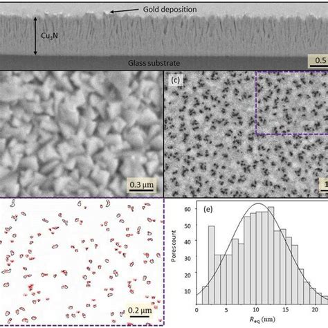 Sem Micrographs Of A Cross Section And B Planar Views Both Of