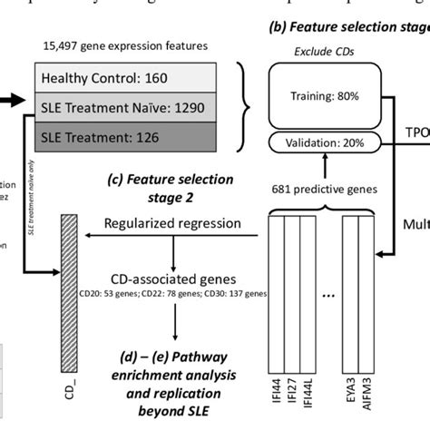 Integrated Machine Learning Pipeline For Aberrant Biomarker Enrichment